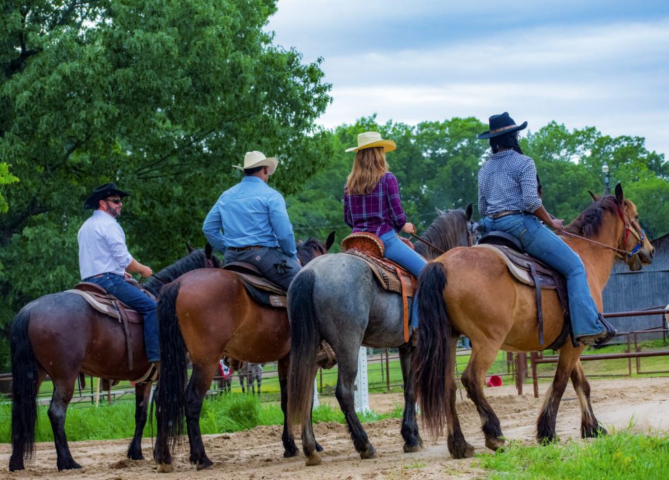 Horse Riding Lebanon TN | The Stables at Cedars of Lebanon